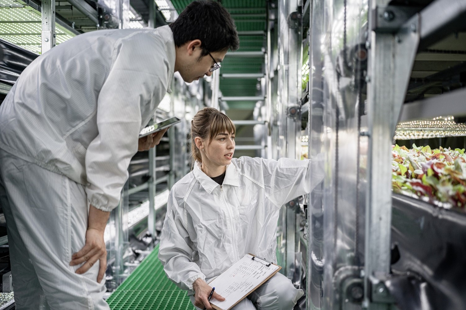 YesHealth Group - Leafood